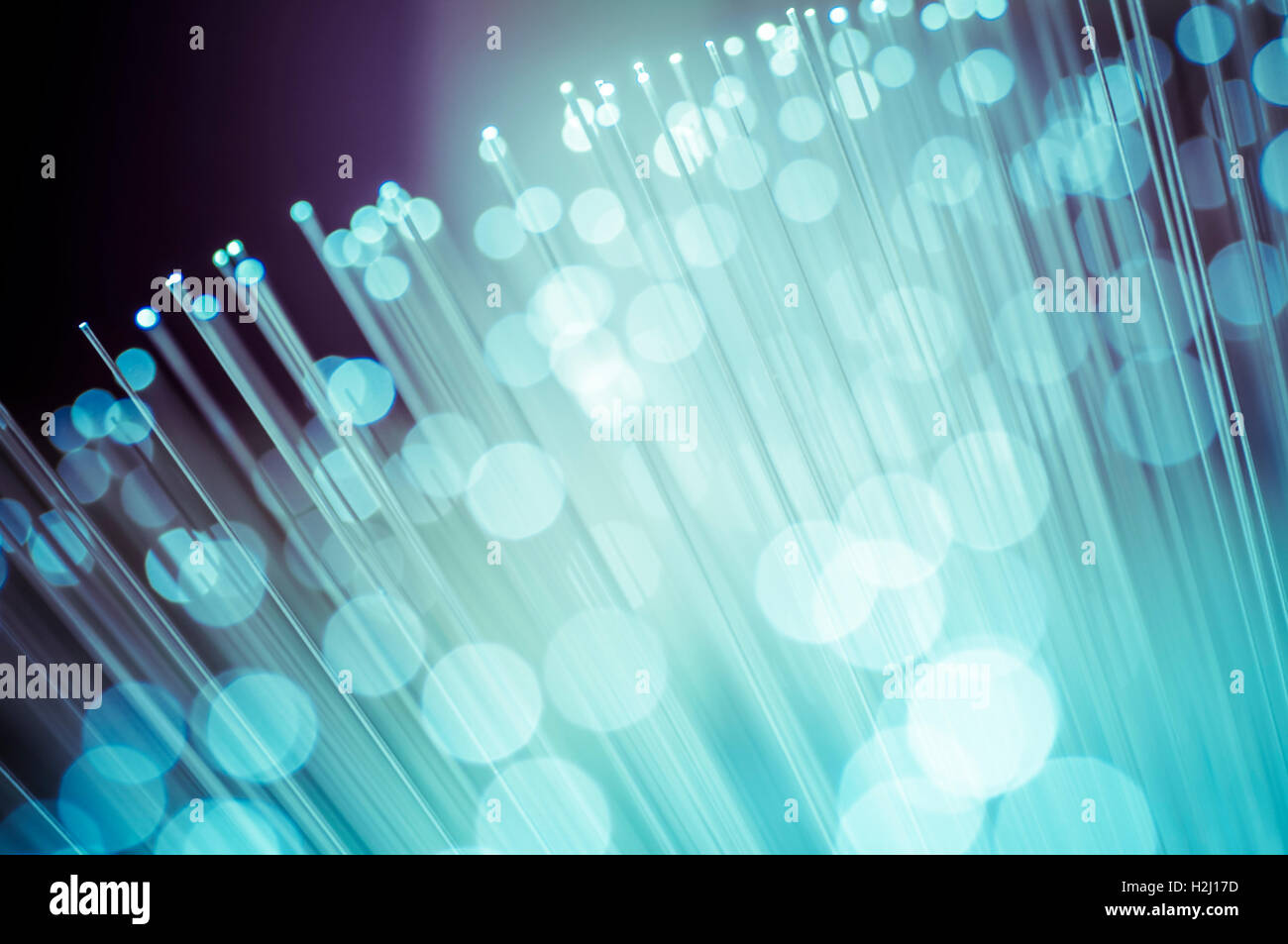 Fiber optic cables, fibre connection, telecomunications concept Stock ...