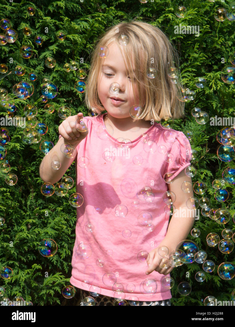 four year old girl in mass of floating bubbles, trying to pop one with ...