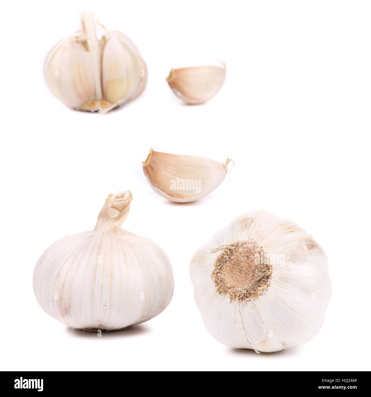 Garlic set isolated Stock Photo - Alamy