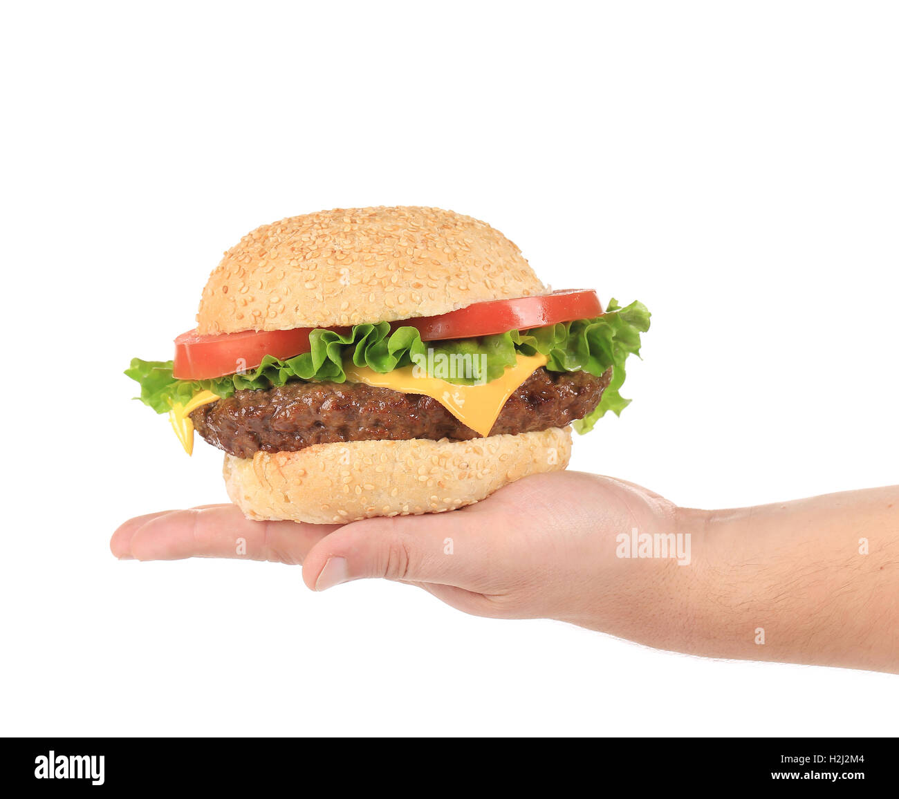 Big cheeseburger Cut Out Stock Images & Pictures - Alamy