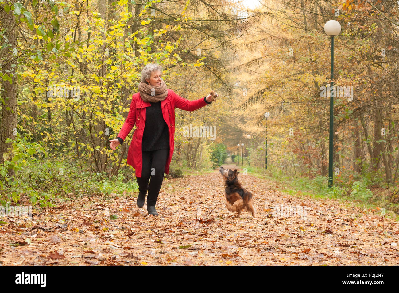 Lady dog raincoat hi-res stock photography and images - Alamy