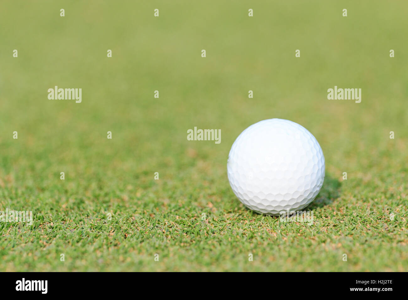 Golf ball on green grass Stock Photo - Alamy