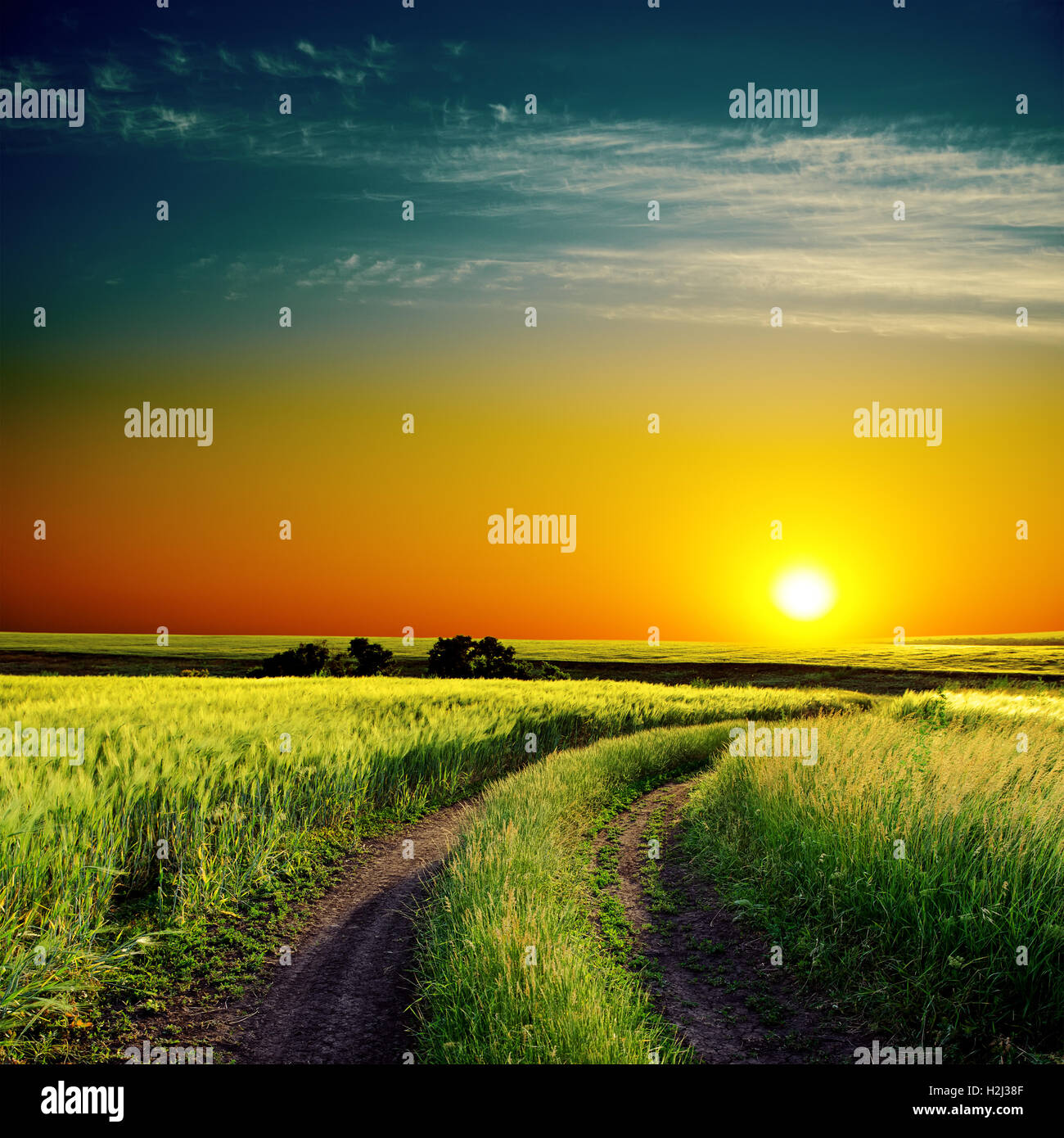 good sunset and road to horizon in green field Stock Photo - Alamy