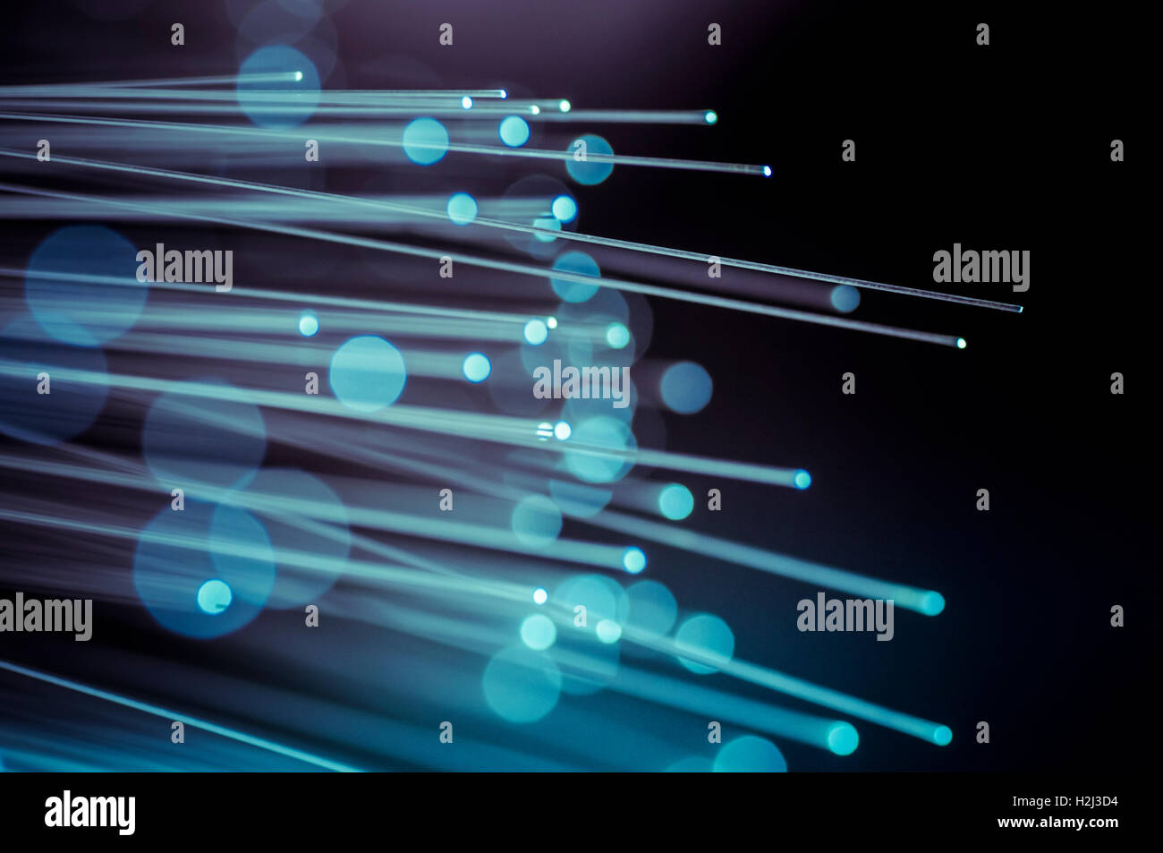 Science. Fiber optic cables, fibre connection, telecomunications Stock ...