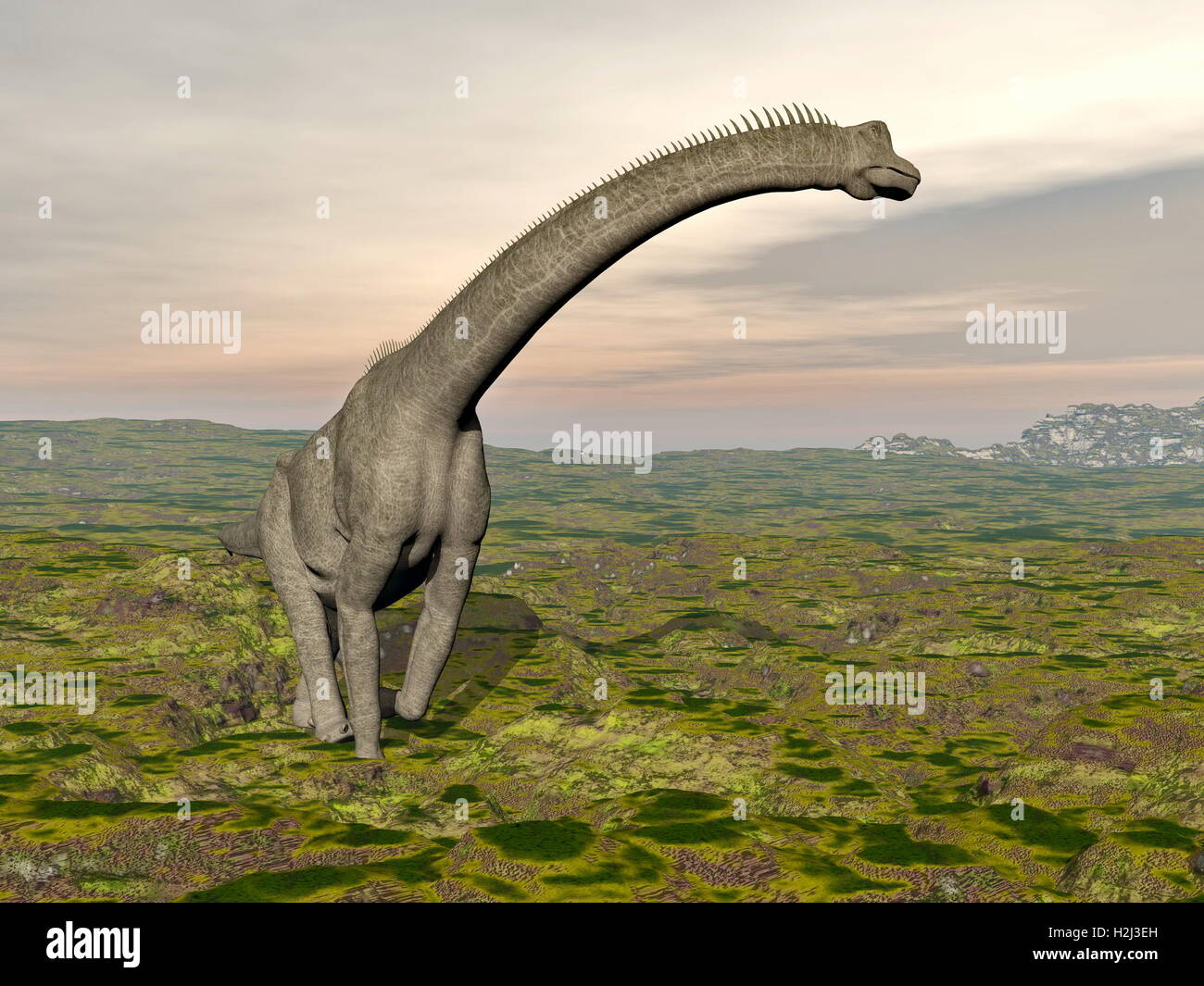 Brachiosaurus dinosaur walking - 3D render Stock Photo - Alamy