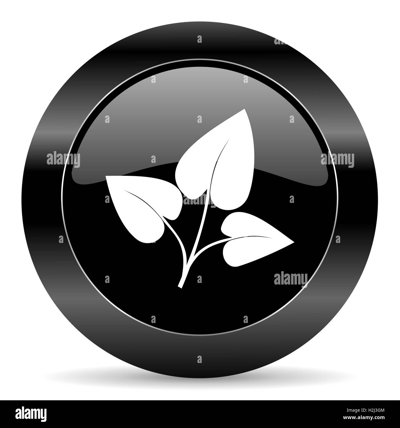 Leaf organic nature Black and White Stock Photos & Images - Alamy