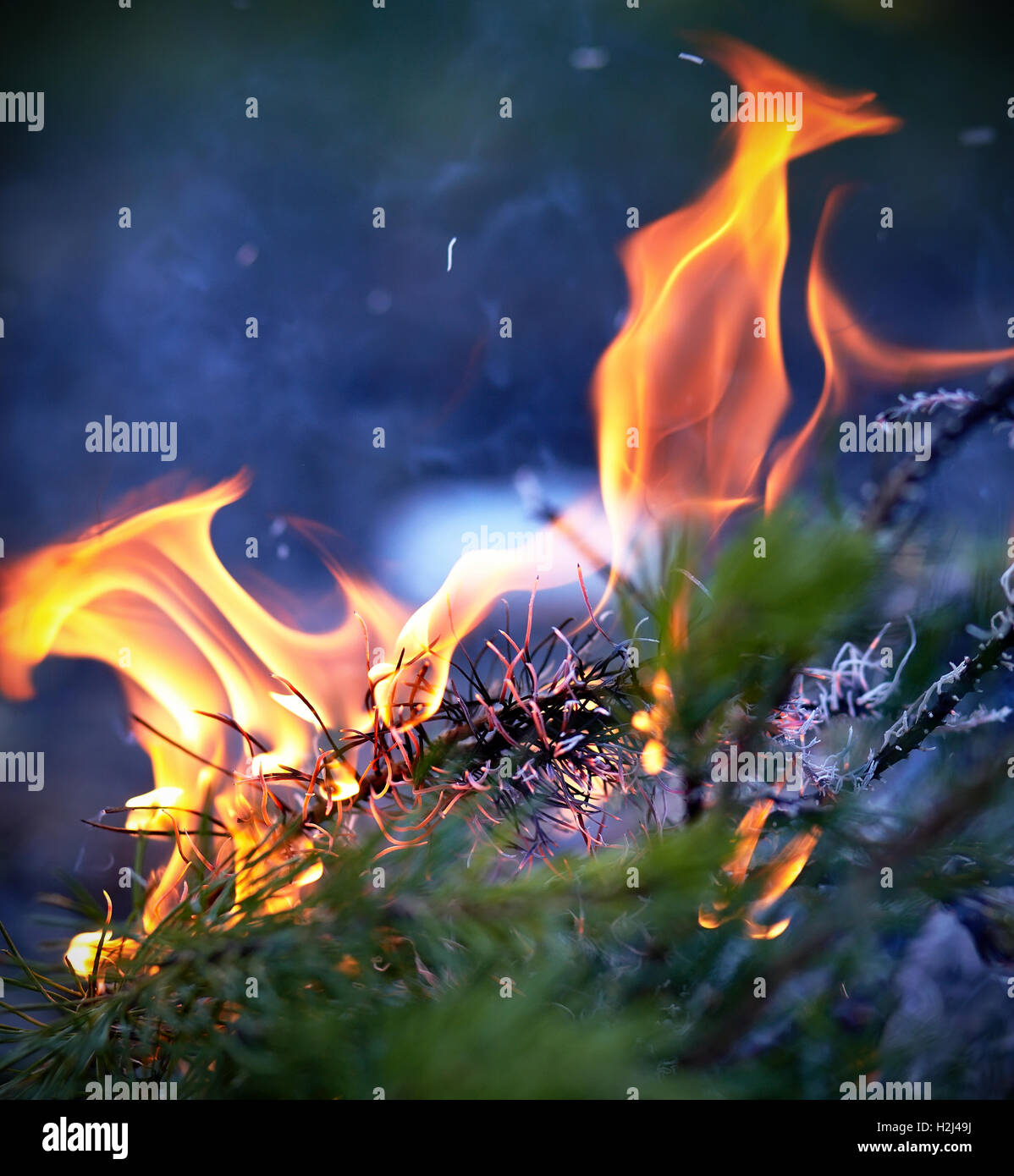 Smoldering campfire hi-res stock photography and images - Alamy