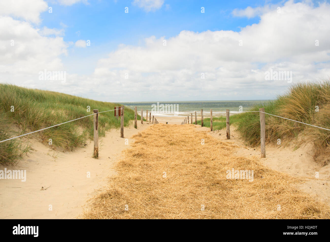 Beach and dunes on Dutch Texel Stock Photo - Alamy