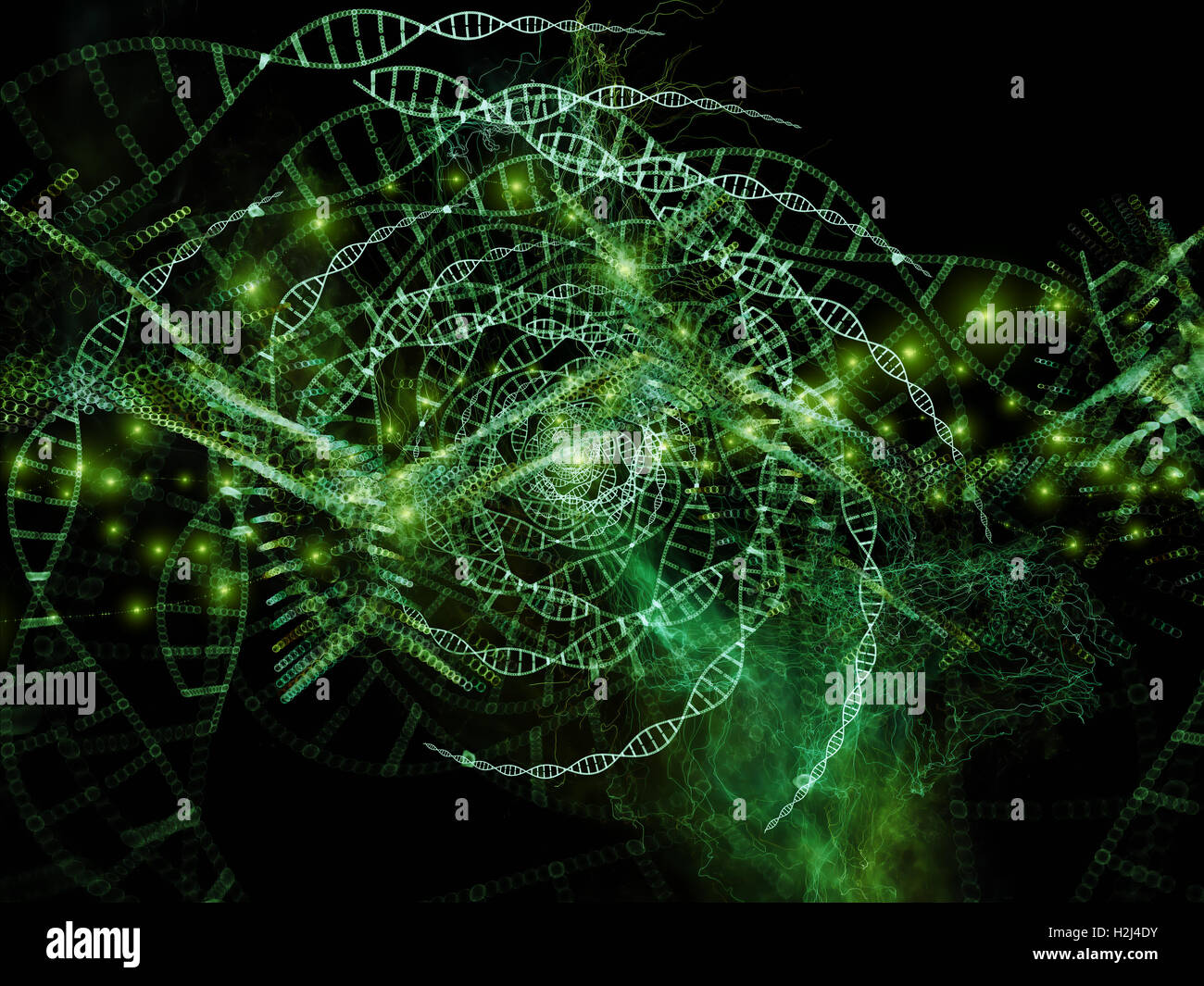 Vision of Microcosm Stock Photo - Alamy