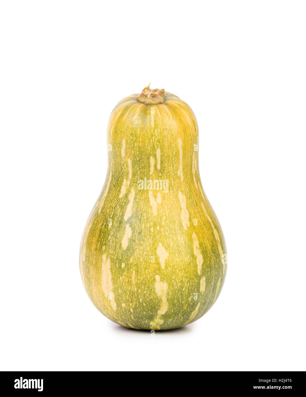 Green acorn squash Cut Out Stock Images & Pictures - Alamy