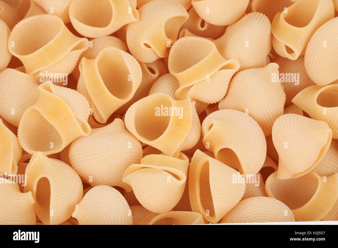 close up of Italian pasta shells Stock Photo - Alamy
