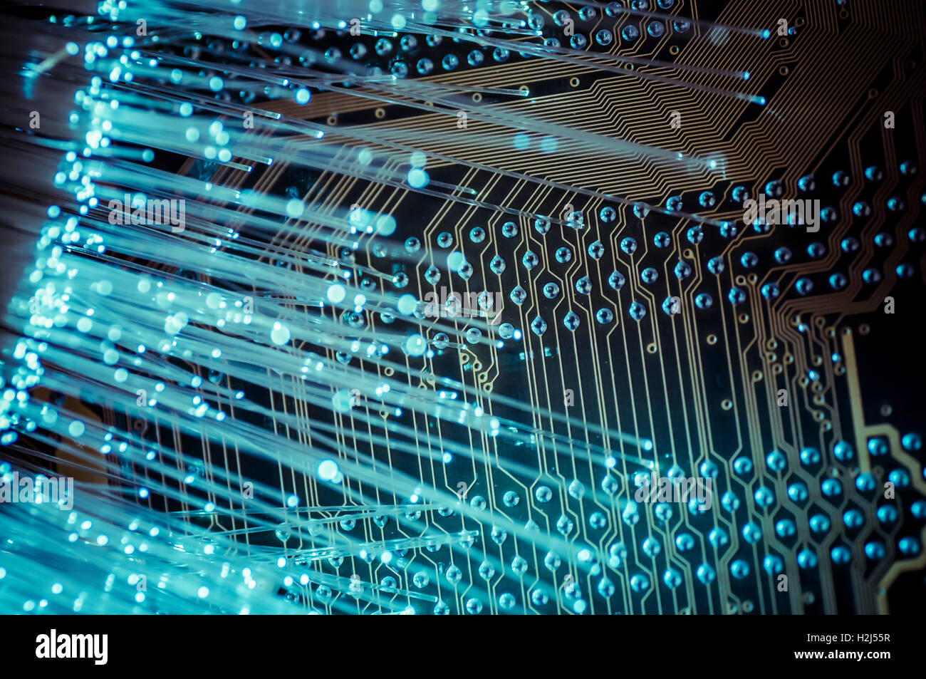 Connectivity.Fiber optic cables, fibre connection, telecomunicat Stock ...