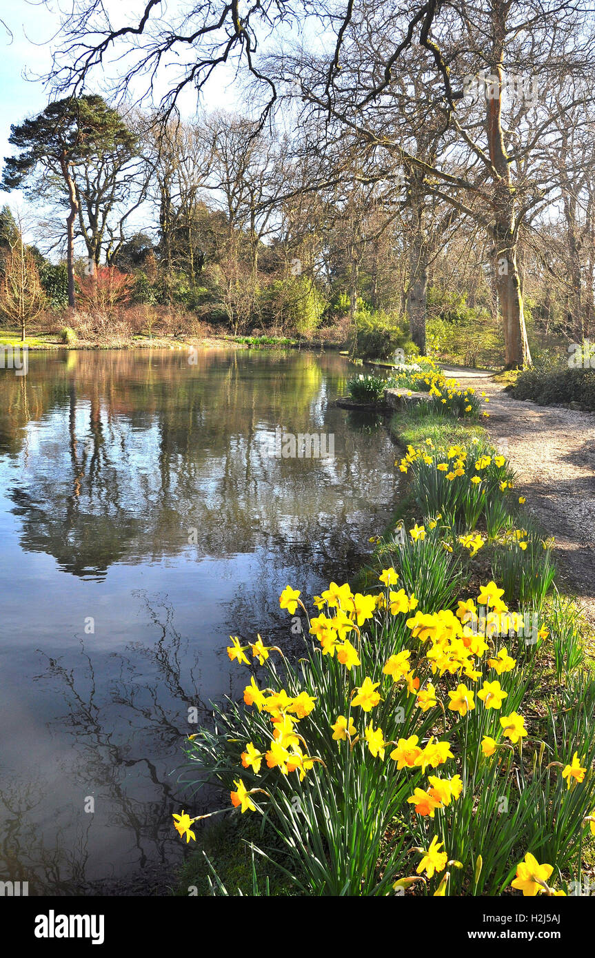 Lake side flowers hi-res stock photography and images - Alamy