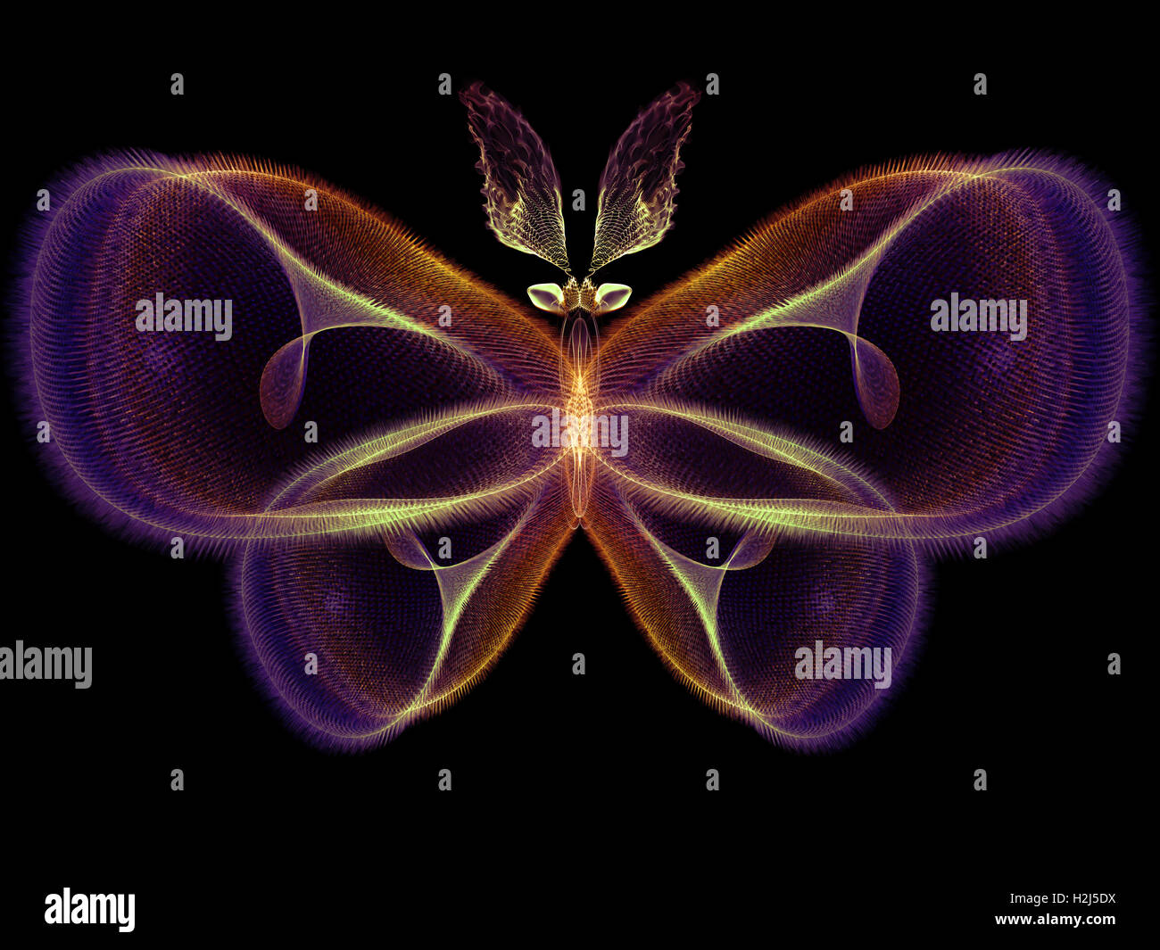 Magic of Butterfly Stock Photo - Alamy