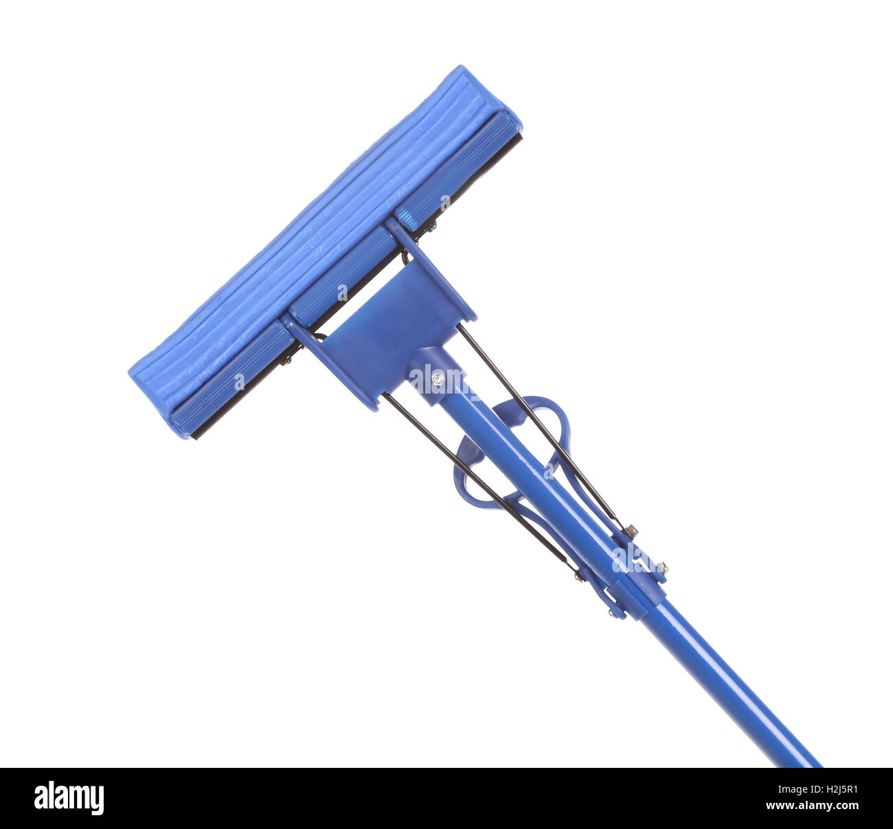 Close up of blue mop with sponge Stock Photo - Alamy