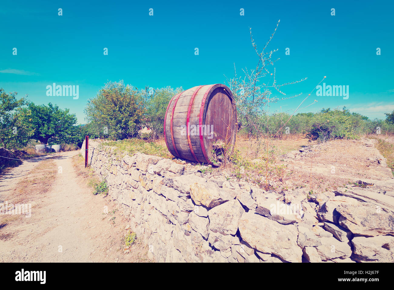 Vine barrel hi-res stock photography and images - Alamy