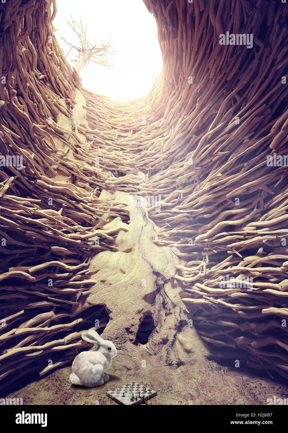 rabbit in the deep hole Stock Photo - Alamy