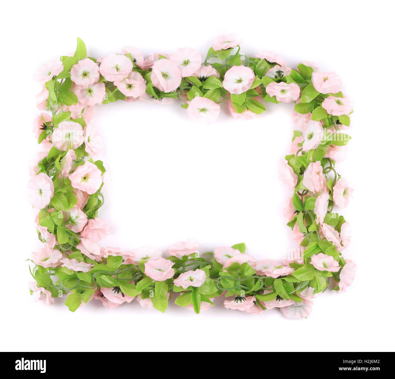 Smaller flowers frame hi-res stock photography and images - Alamy