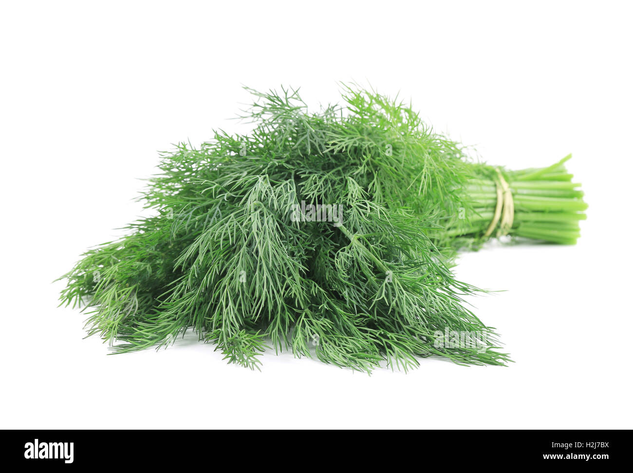 Bunch of dill Stock Photo - Alamy