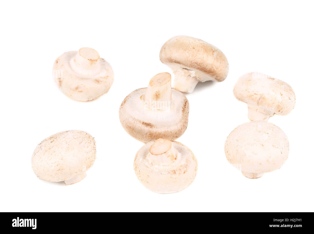 Champignons image Cut Out Stock Images & Pictures - Alamy