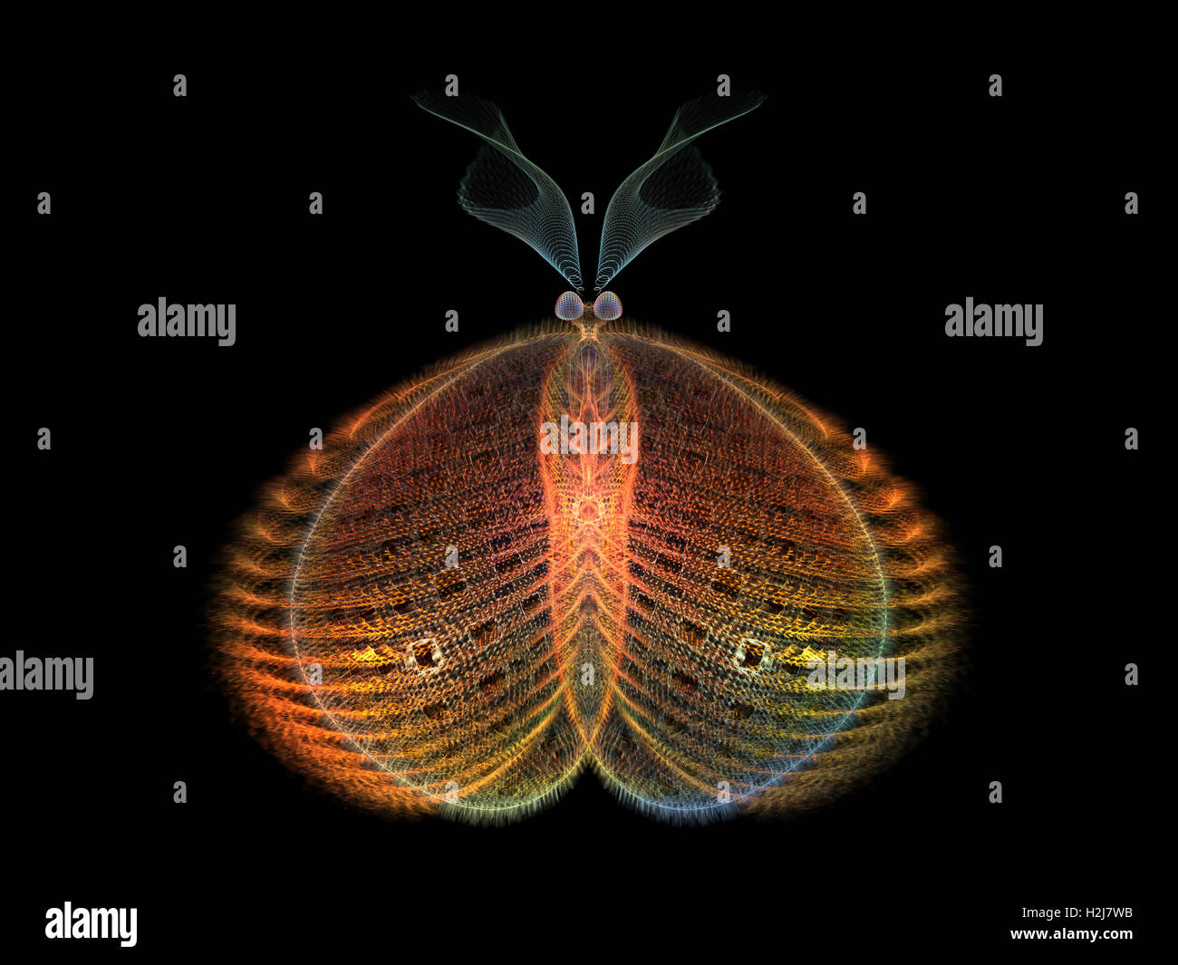 Intricate butterfly hi-res stock photography and images - Alamy