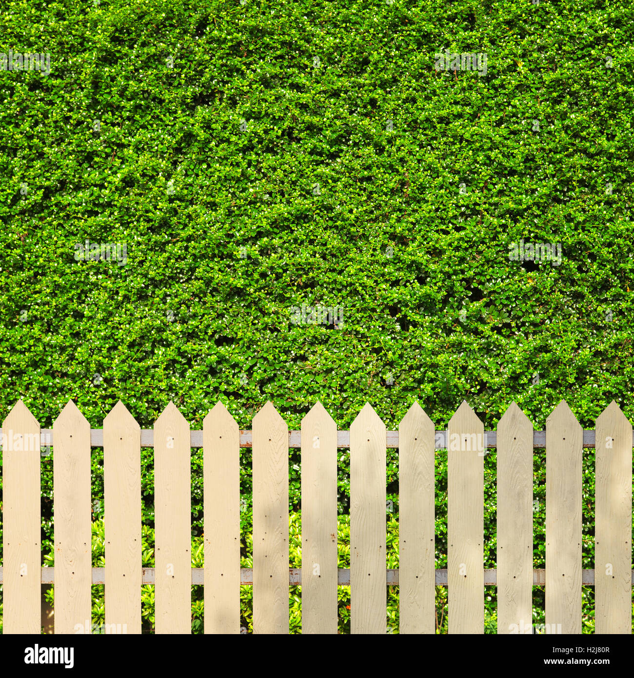 White fences hi-res stock photography and images - Alamy