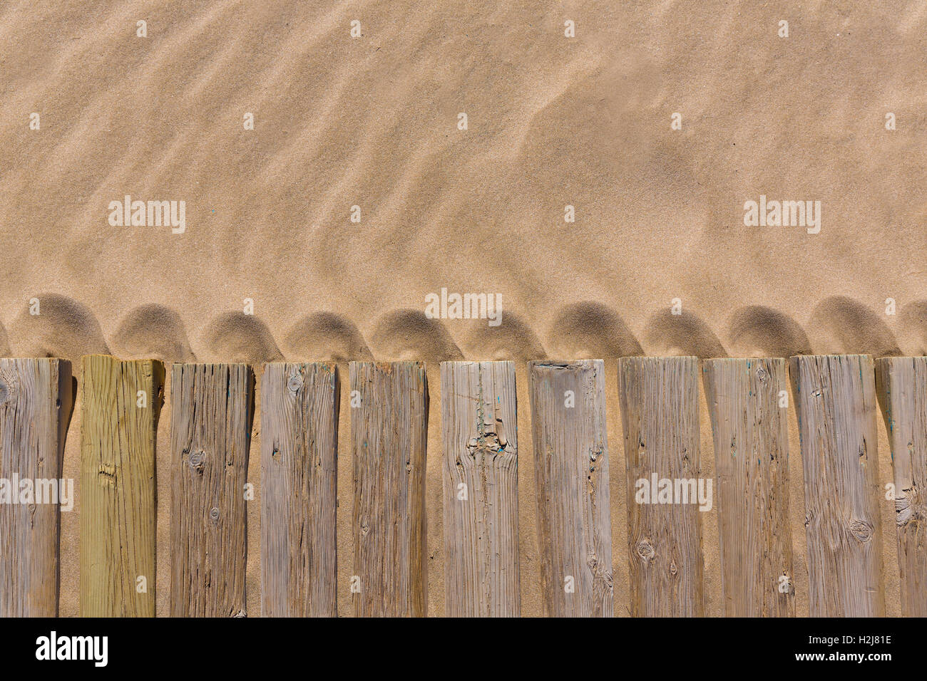 pine wood deck weathered in beach sand texture Stock Photo - Alamy