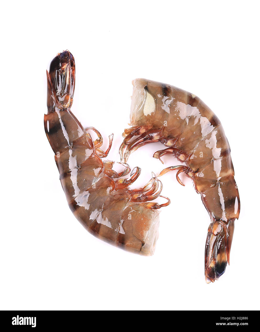 Two raw shrimps Stock Photo - Alamy