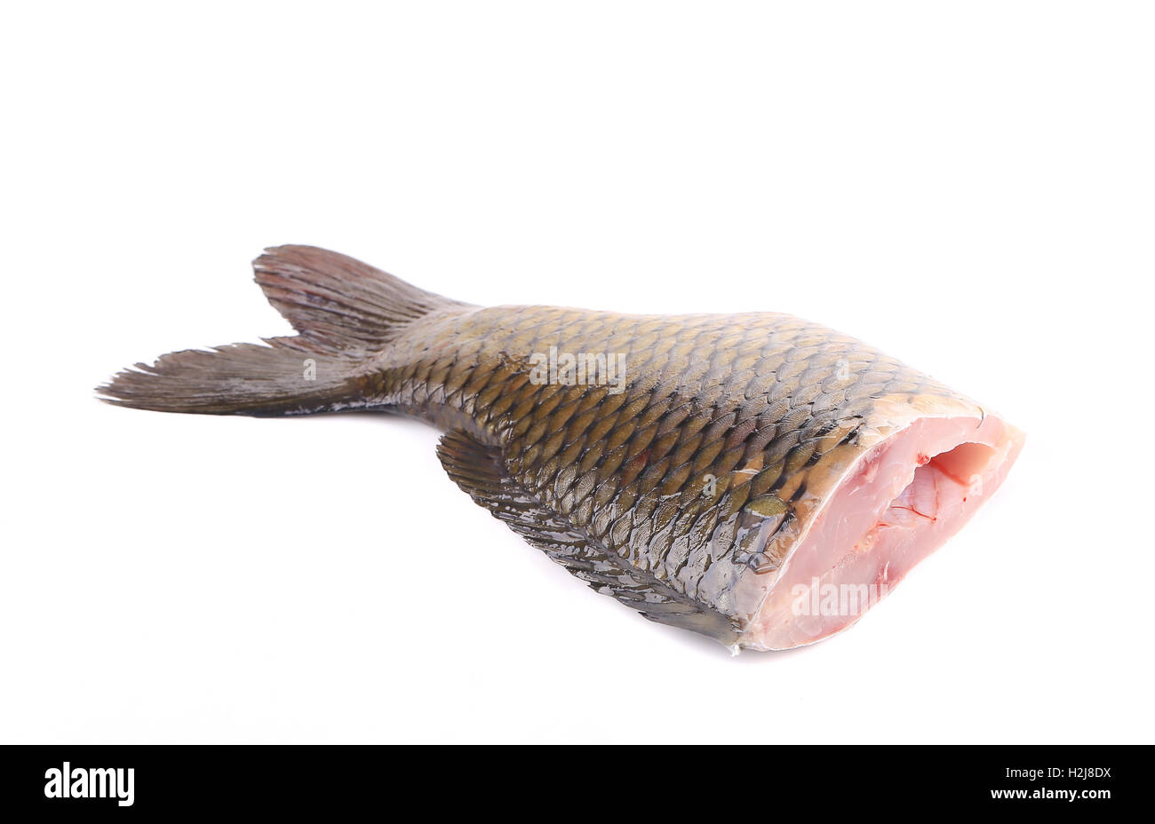 Pink carp Cut Out Stock Images & Pictures - Alamy