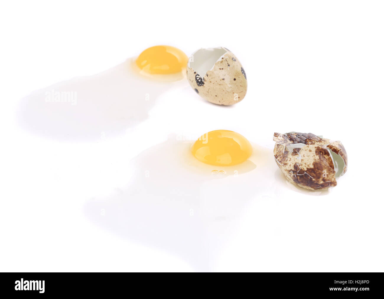 close up of raw broken quail eggs Stock Photo - Alamy