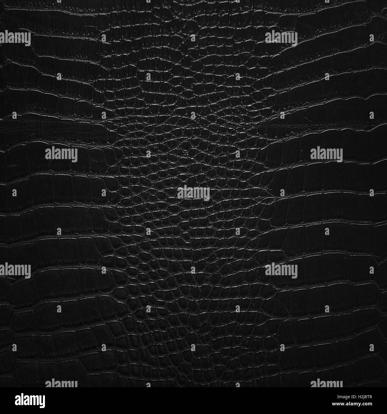 Snake skin seamless texture pattern Black and White Stock Photos ...