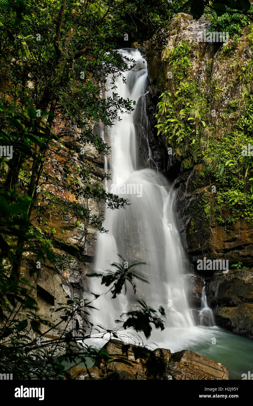 La Mina Waterfalls, Caribbean National Forest (El Yunque Rain Forest ...