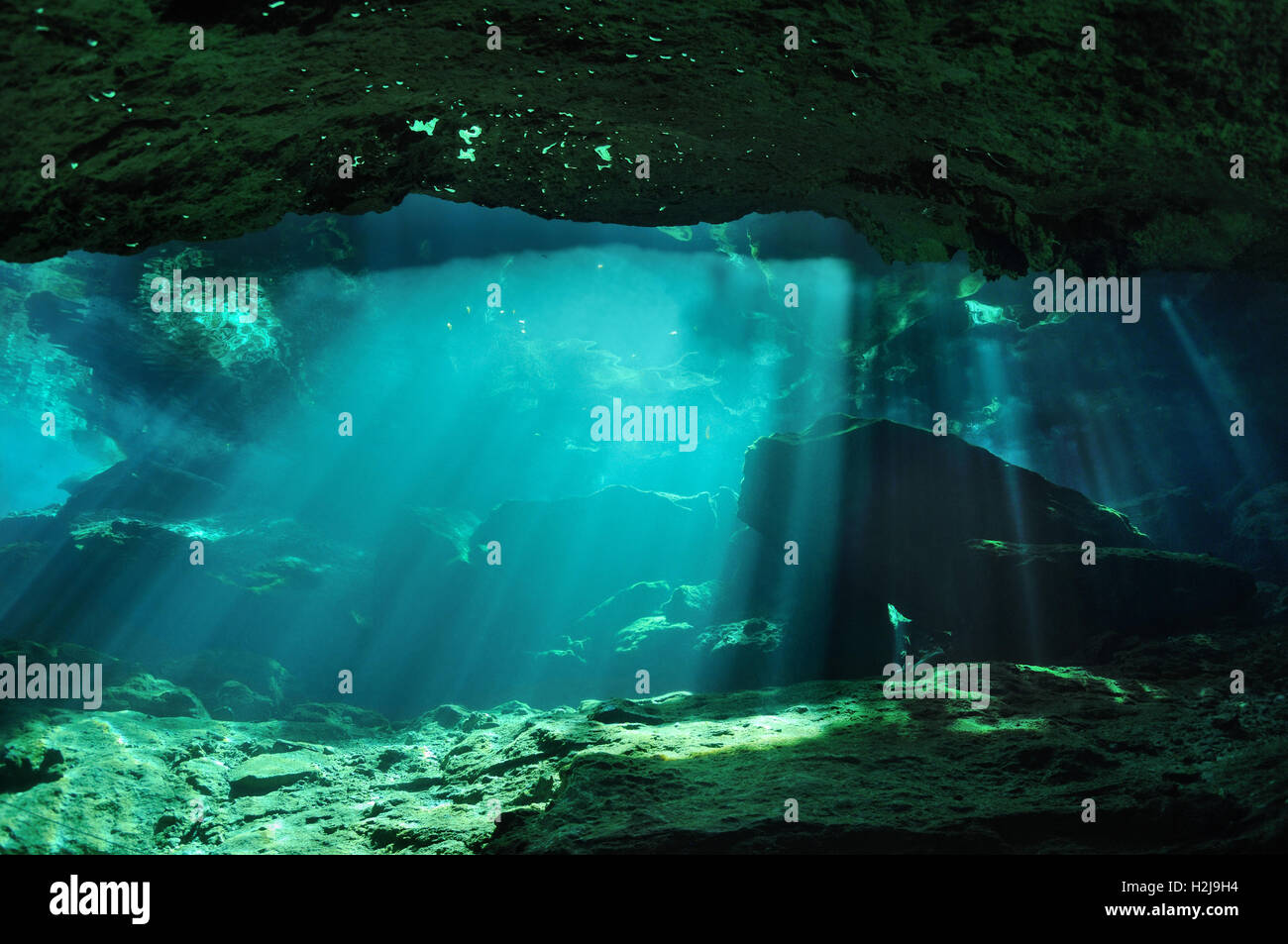 Underwater cave ceiling hi-res stock photography and images - Alamy