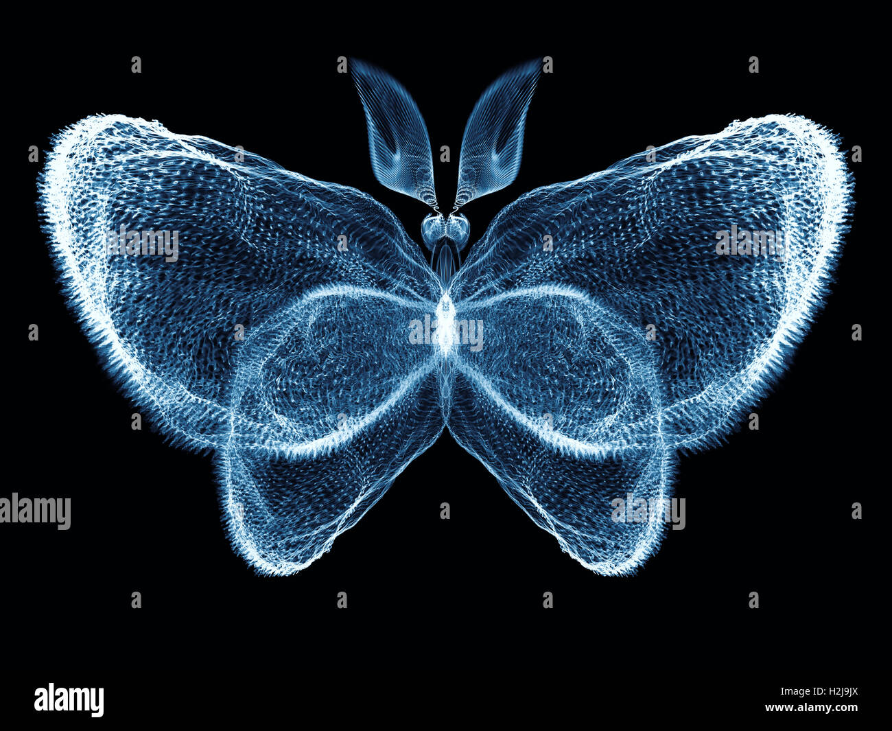Illusion of Butterfly Stock Photo - Alamy