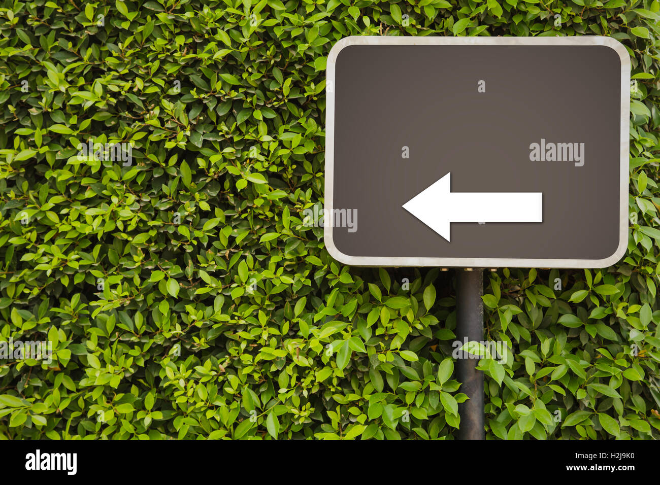 Green empty wood sign hi-res stock photography and images - Alamy