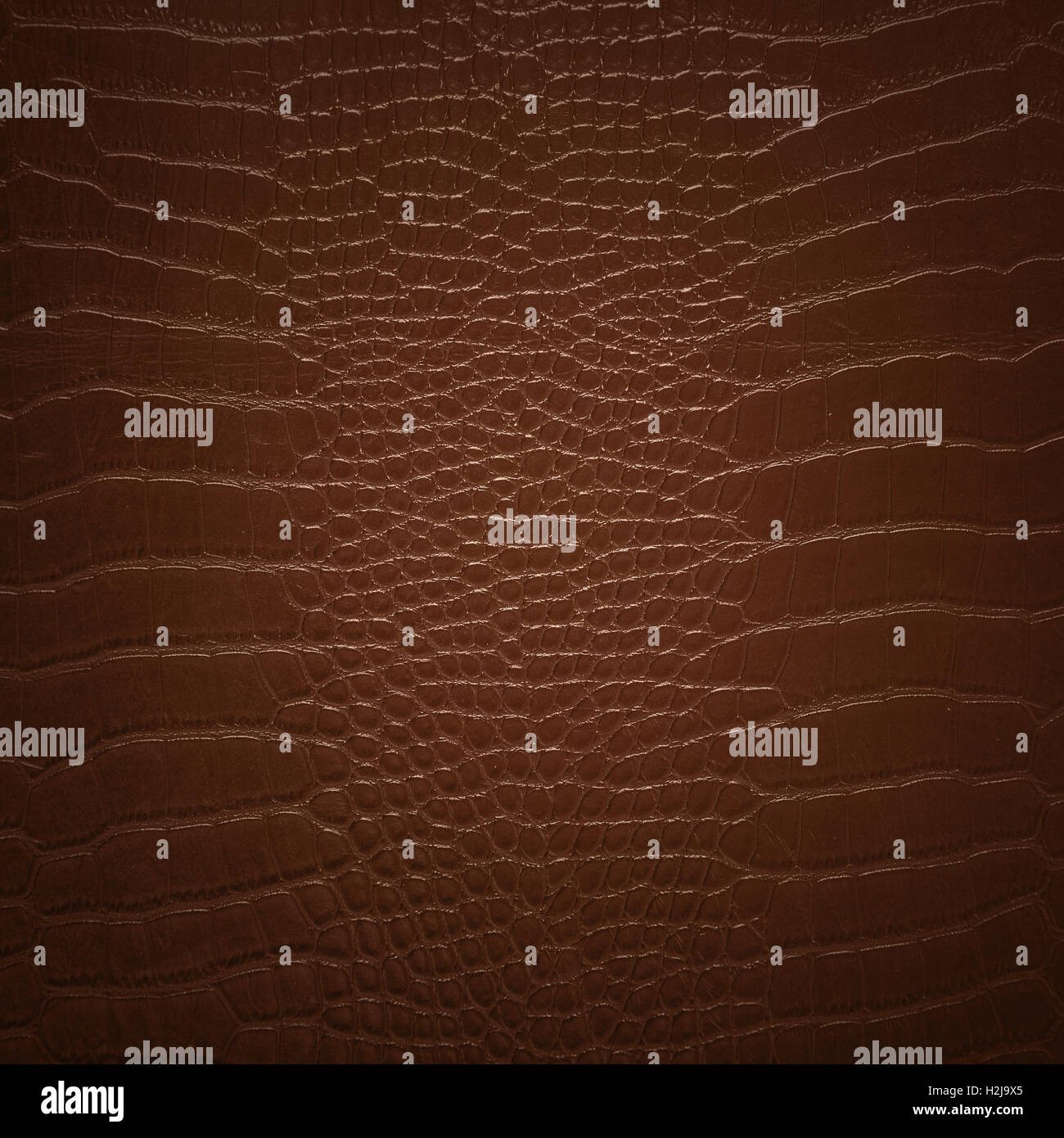 Python texture hi-res stock photography and images - Alamy