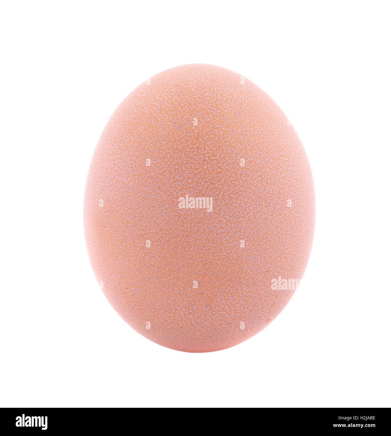 Single brown chicken egg hi-res stock photography and images - Alamy