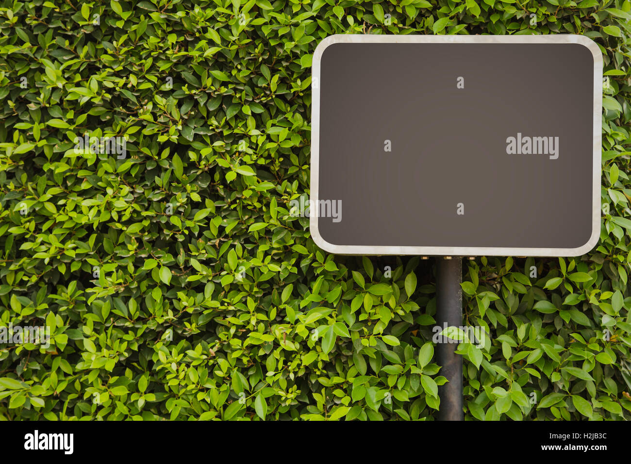 Green sign wood hi-res stock photography and images - Alamy