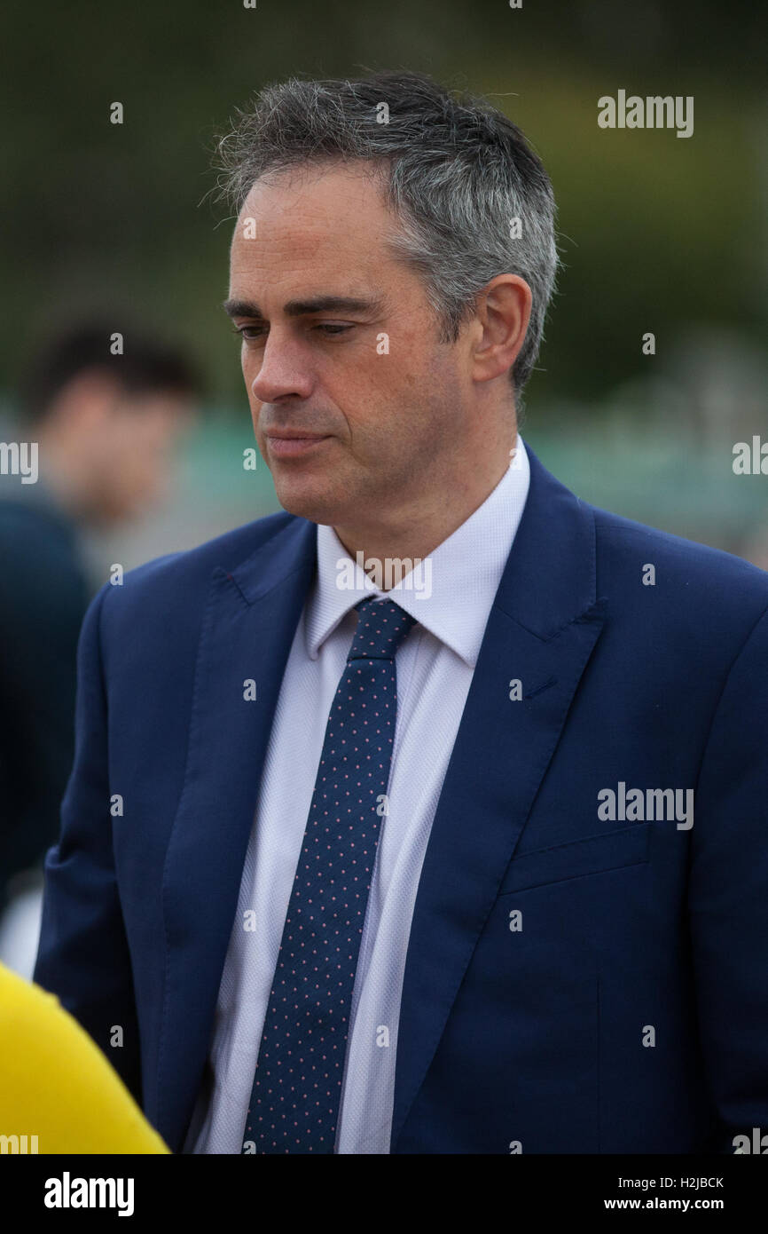 Green party uk leader hi-res stock photography and images - Alamy