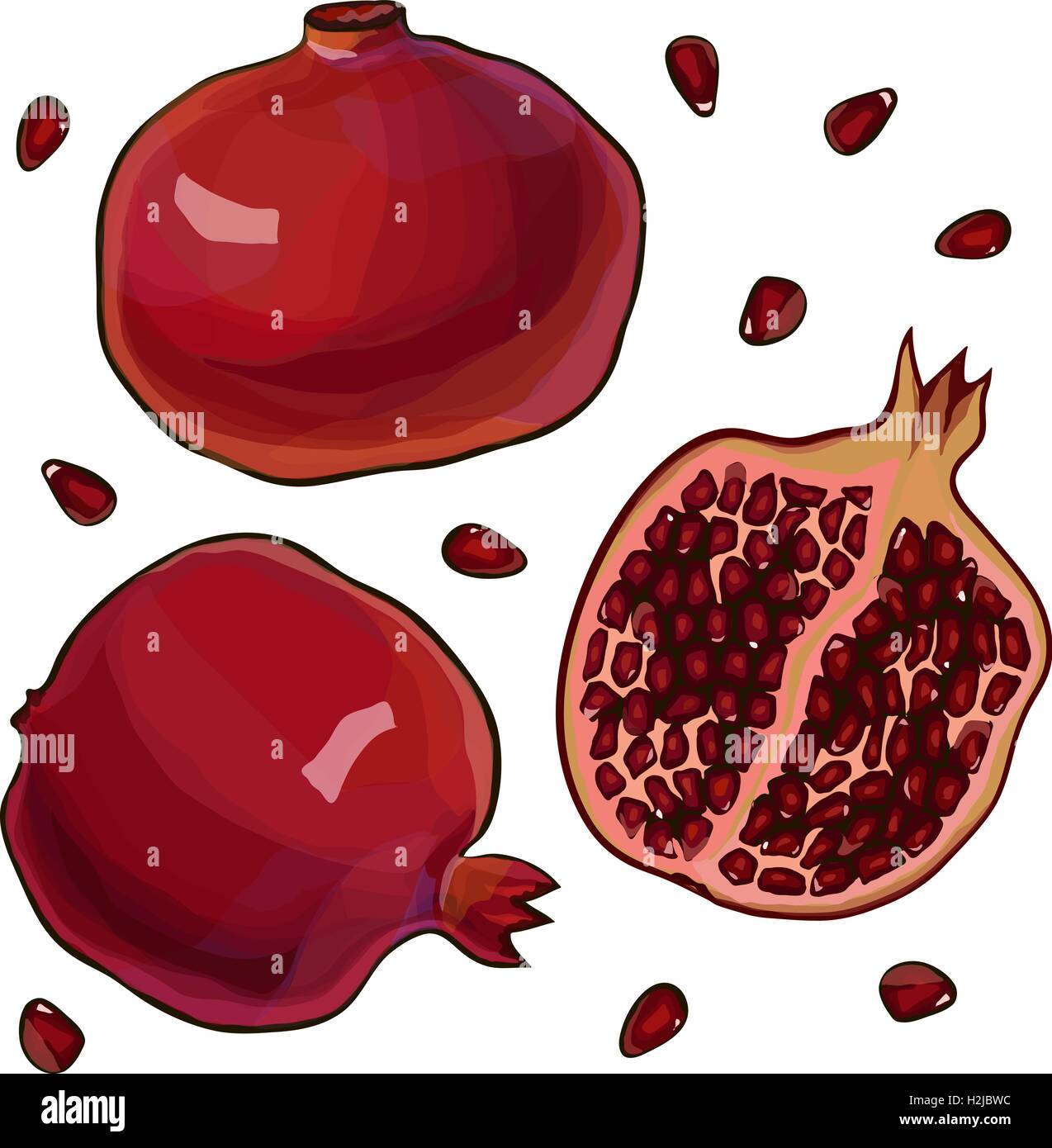 Fresh whole cut fruit Stock Vector Images - Alamy