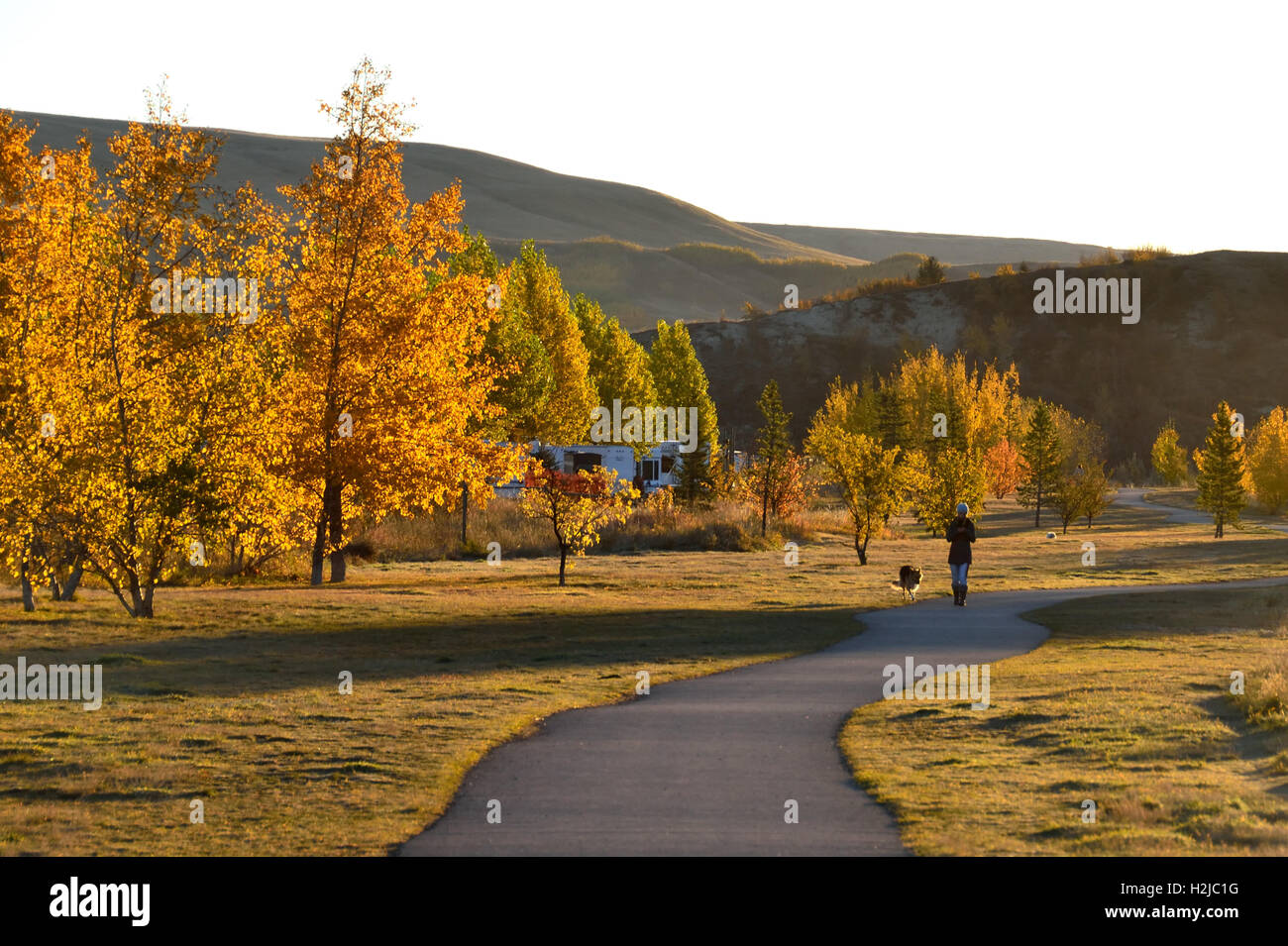 Following the path hi-res stock photography and images - Alamy