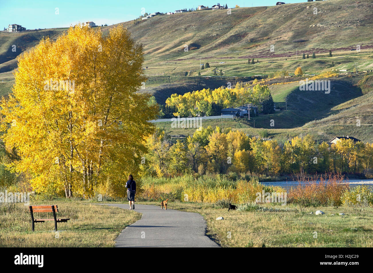 Scenic walk hi-res stock photography and images - Alamy