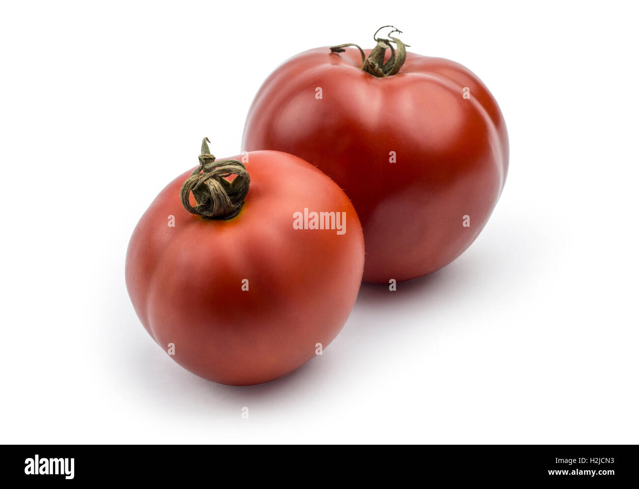 Tomatoes isolated on white background. Clipping path included in jpeg ...
