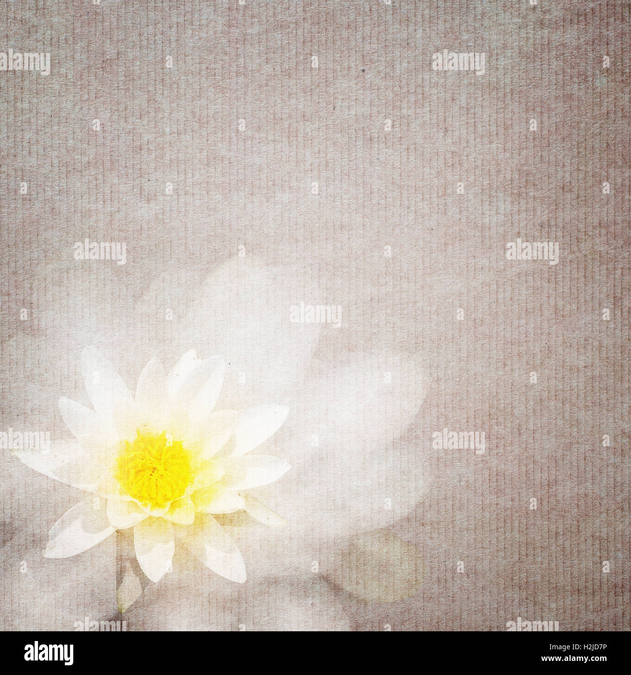 textured old paper background with flower Stock Photo - Alamy