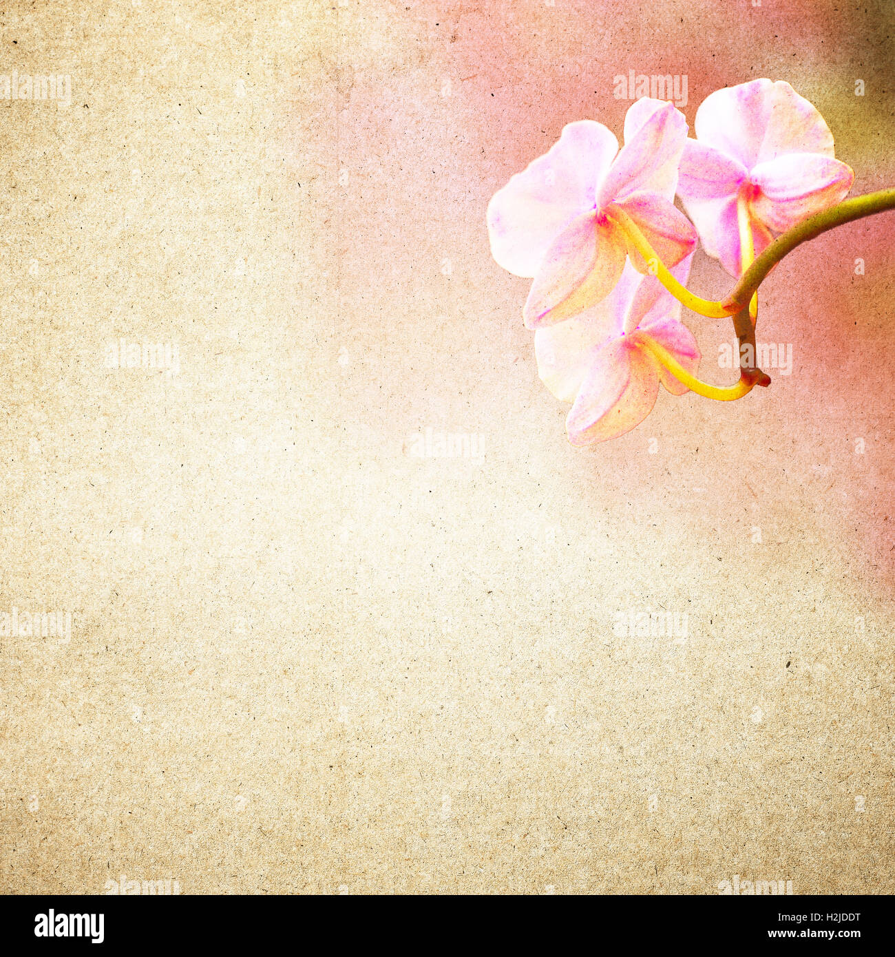 textured old paper background with flower Stock Photo - Alamy