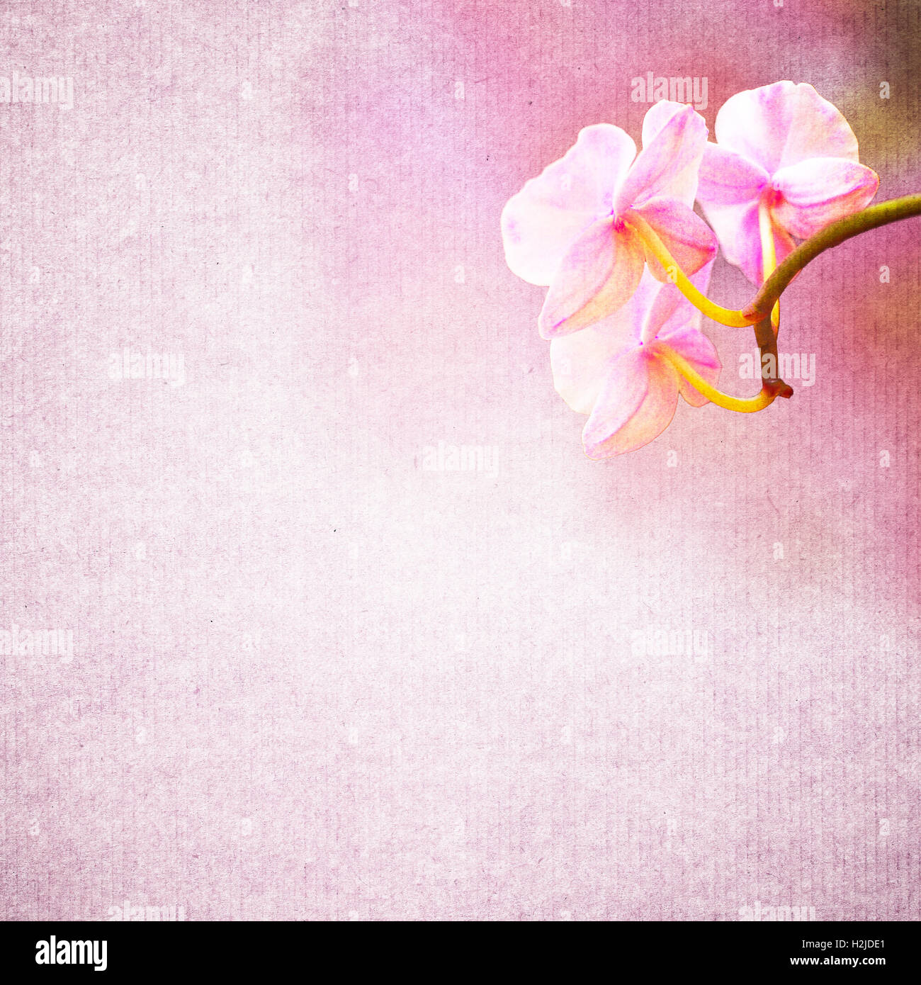 textured old paper background with flower Stock Photo - Alamy