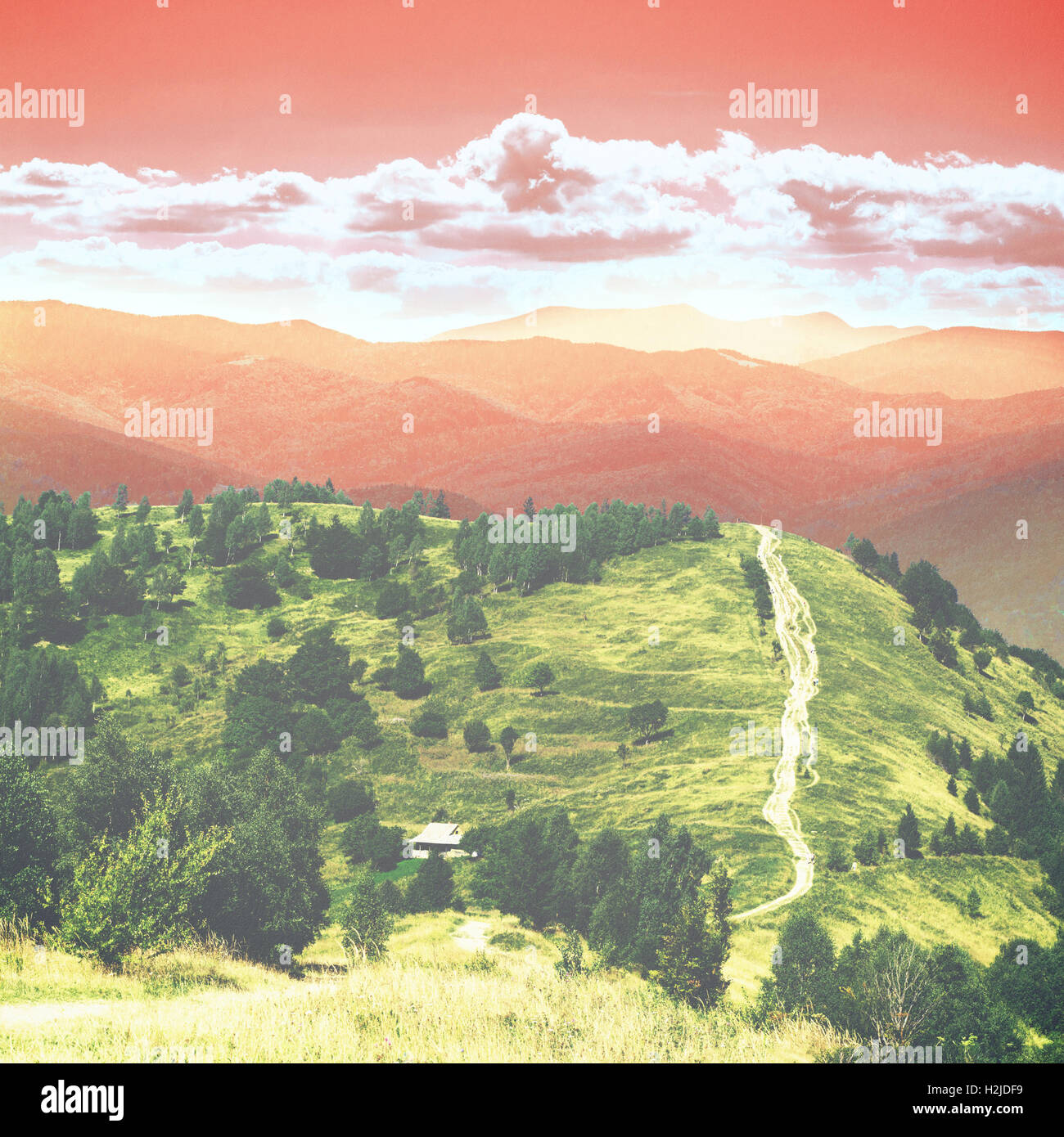 Fairy Tale Forest in Retro Style. Paper Vintage Textured. Mountain ...