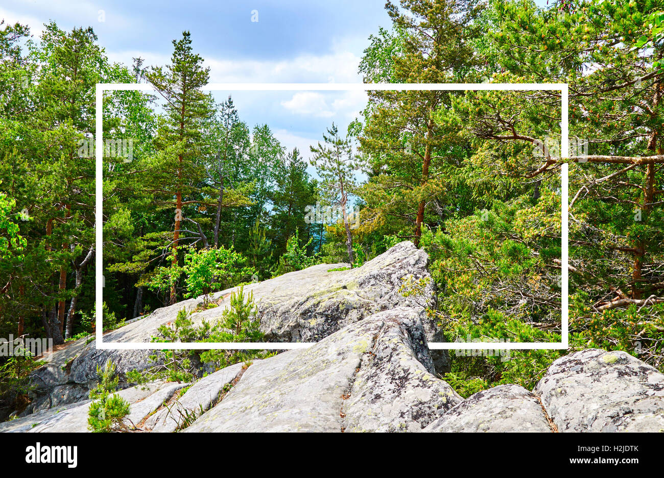Trekking forest frame hi-res stock photography and images - Alamy