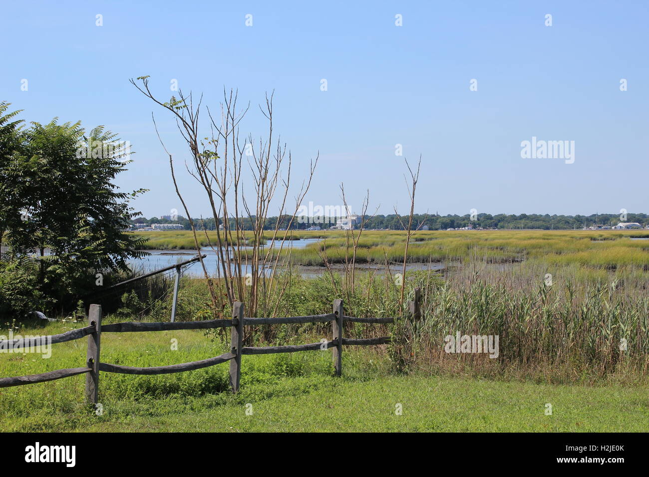 Summer in Rural NYS Stock Photo - Alamy