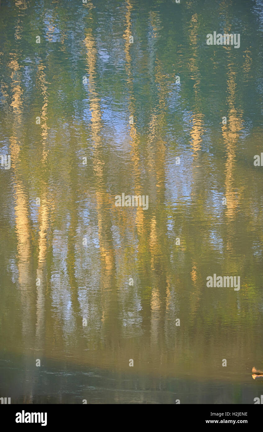 Autumn trees reflecting in the water Stock Photo - Alamy